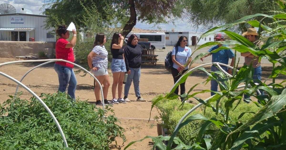 Arizona Western College hosts ‘Future Matadors Camp’ for high school ...