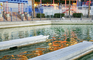 Lake level expected to dip | Local News Stories | havasunews.com