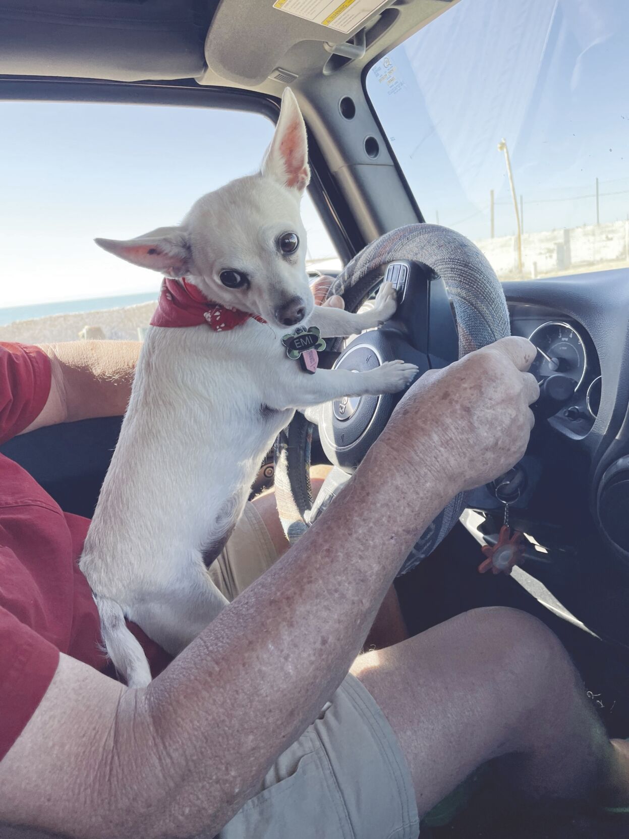 Good Morning: Best Mexican food in Lake Havasu City? | Opinion ...