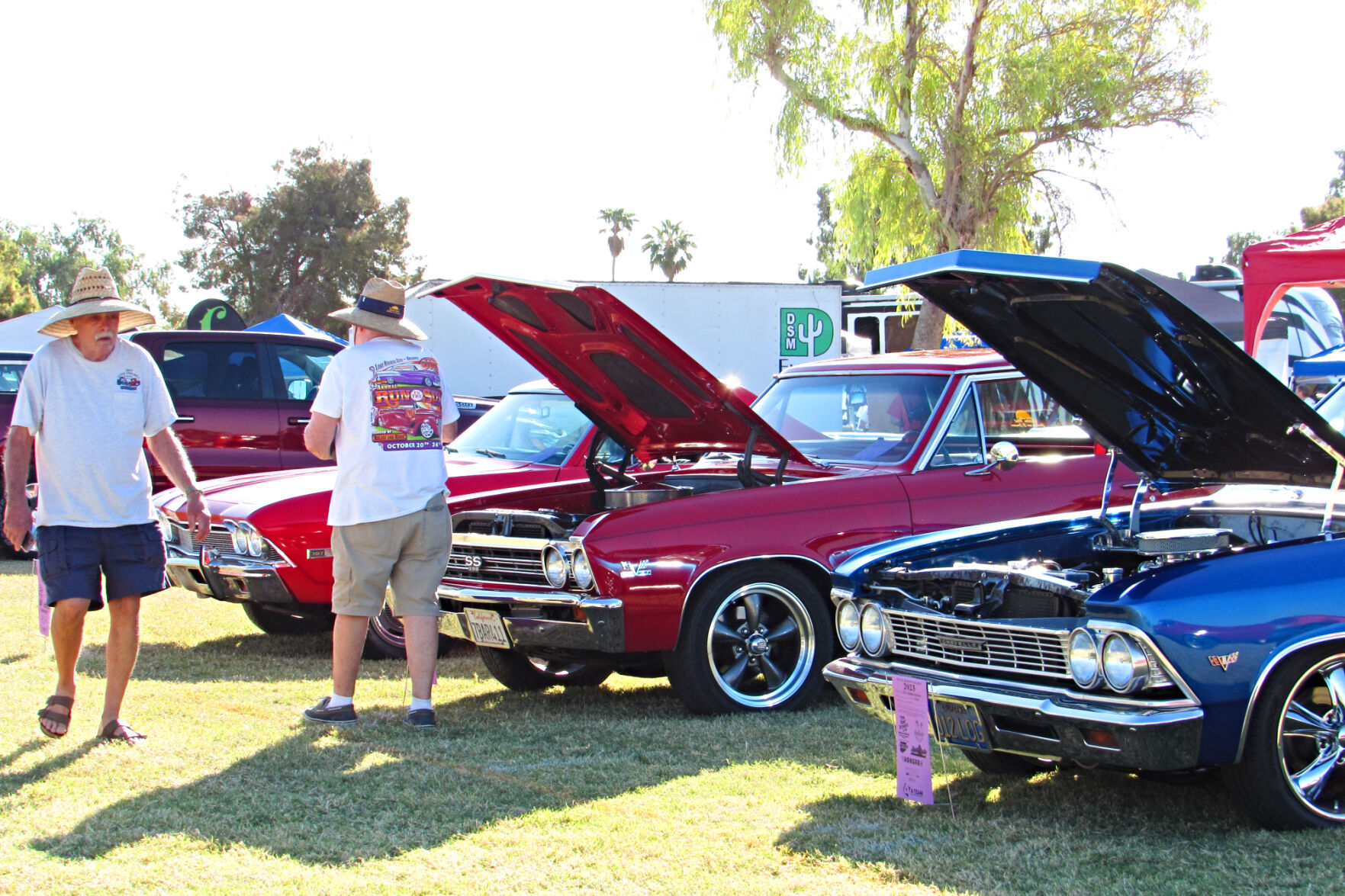 What to see and do at the 46th annual Run to the Sun | Local News ...
