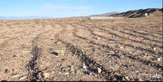 Chromium and the Sacred | Local News Stories | havasunews.com