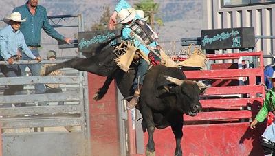 Rodeo returns to Kingman | Entertainment | havasunews.com