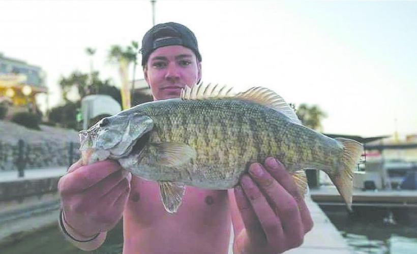 World record redear: Check out this 6.3 pounder caught in Arizona's ...