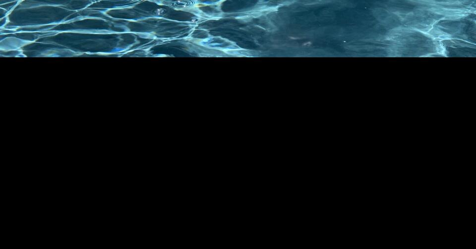 Photos: Dogs love Lake Havasu | Complimentary | havasunews.com