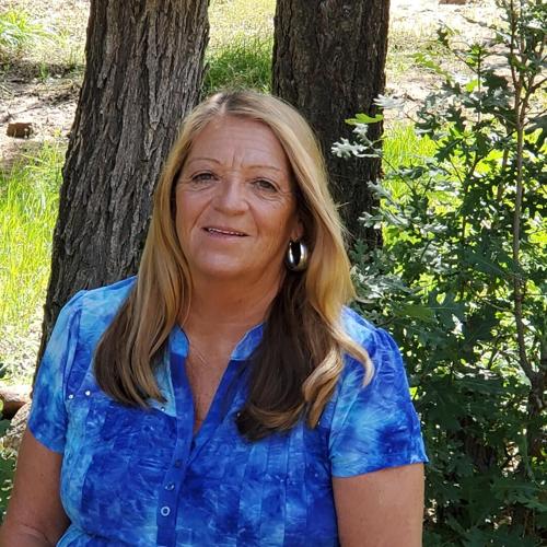 Q&A: Lake Havasu Unified School Board candidates | Local News Stories ...