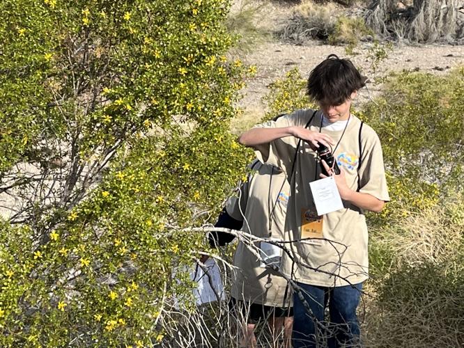 Thunderbolt middle school eighth graders explore Mojave Desert ...