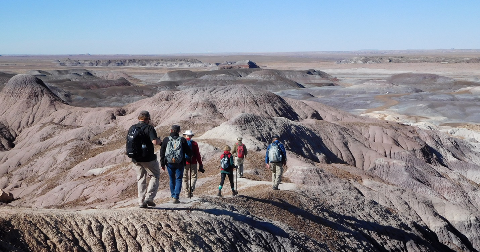 Explore Petrified Forest this fall with ranger-led hikes through rugged ...