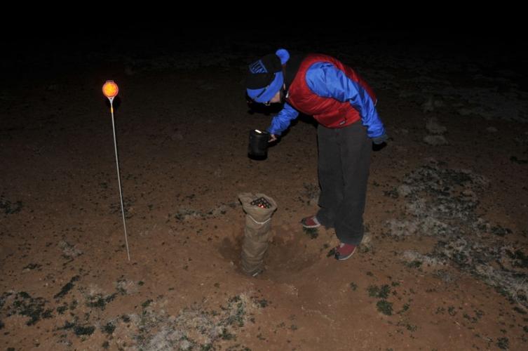 No ferrets found at Double O Ranch during spotlighting event | Local ...