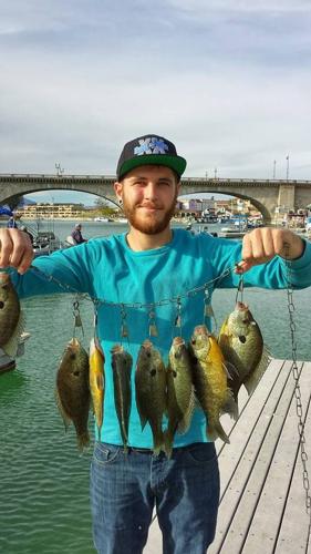 Smallmouth bass caught in Lake Havasu sets an Arizona record | Local ...
