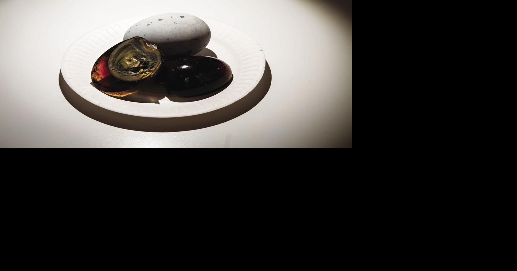 Gag! Rotting fish, maggots on the menu at Disgusting Food Museum ...