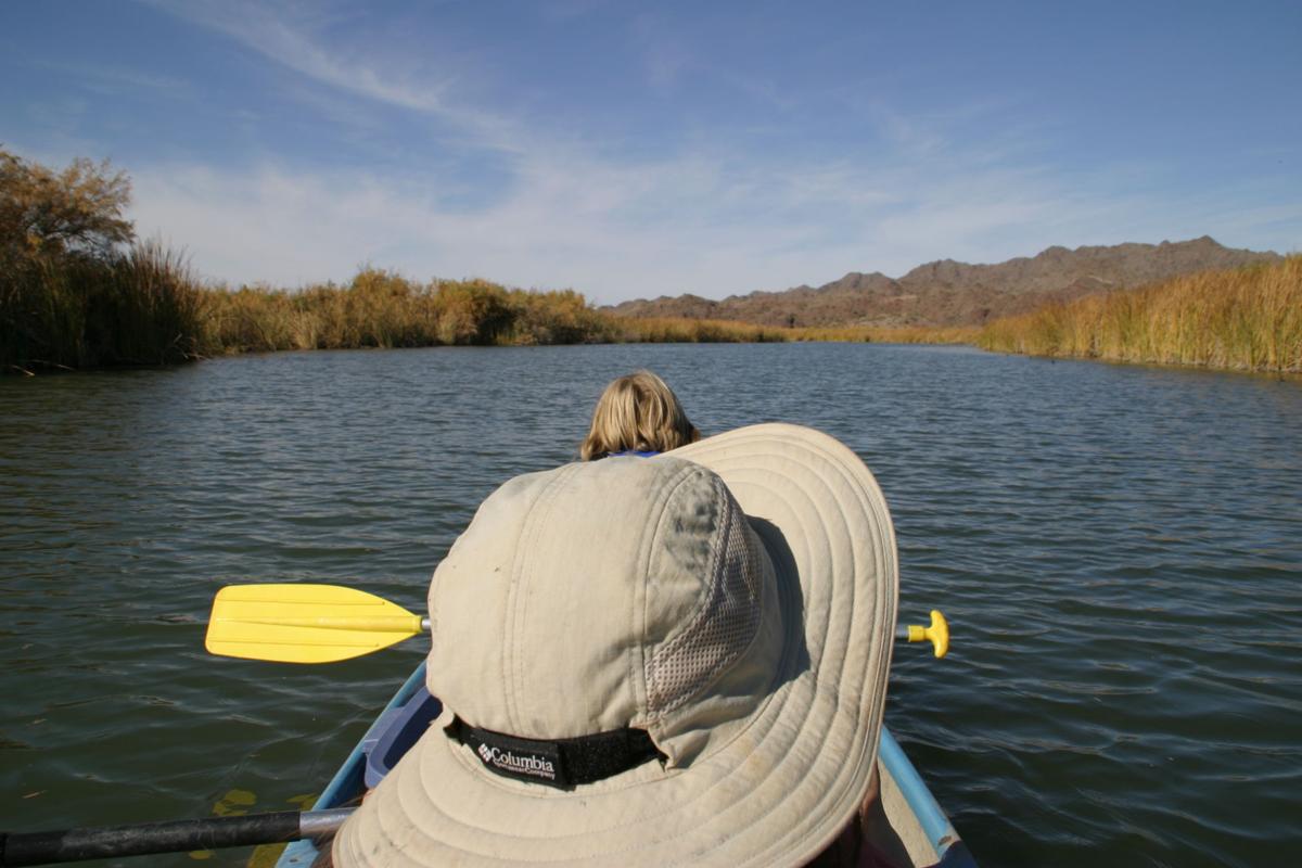 Photos from the Havasu National Wildlife Refuge | Galleries ...
