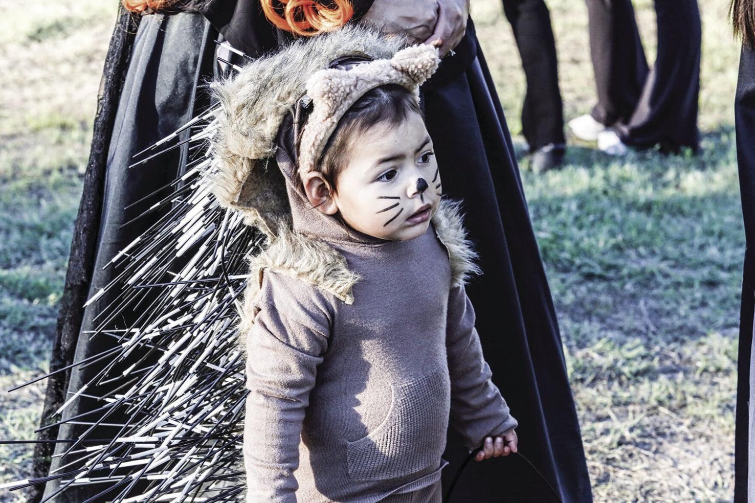 Fright Night, Ghost Tours and more offered | | hccommunityjournal.com