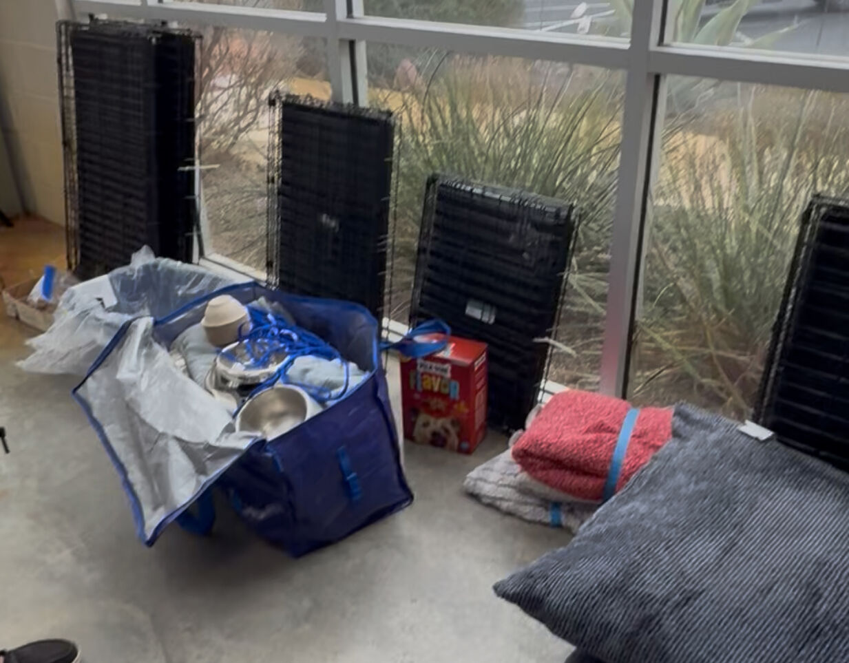 KPA! sets up pet crate, supply area at Calvary Temple Church ...