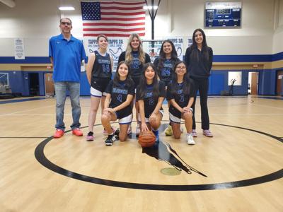 Lady Hawks upended by Cornerstone Christian | Sports ...