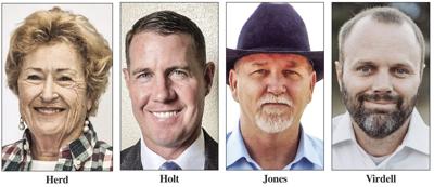 Election night sees new faces as winners | | hccommunityjournal.com
