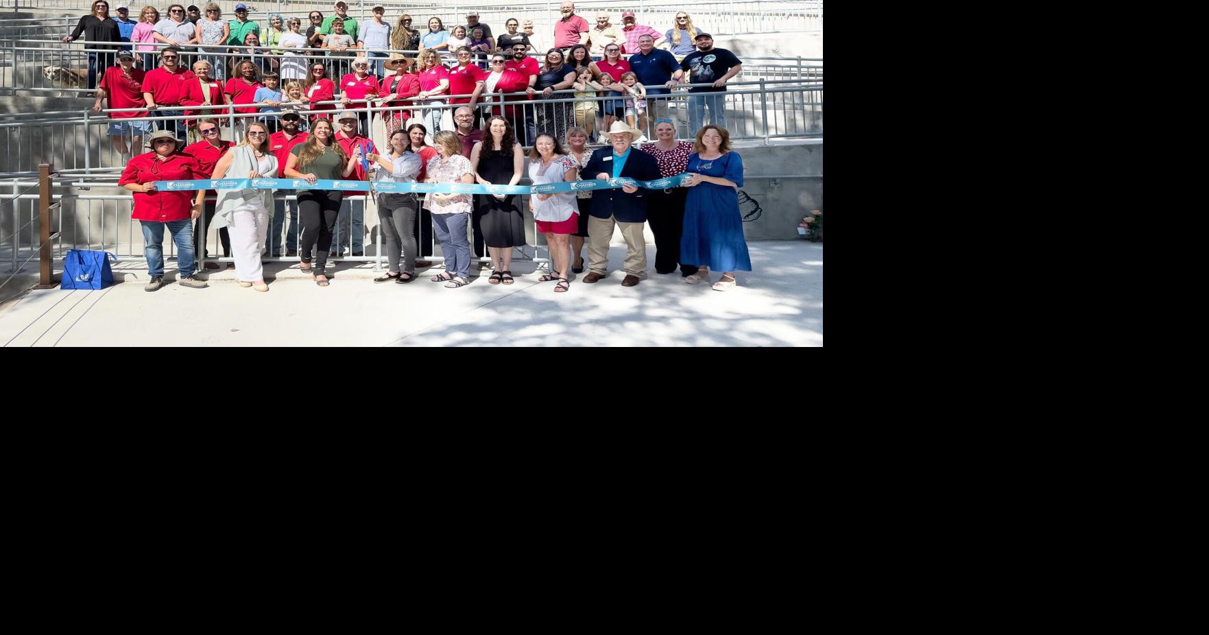 Library ramp opens with mural ribbon-cutting celebration ...