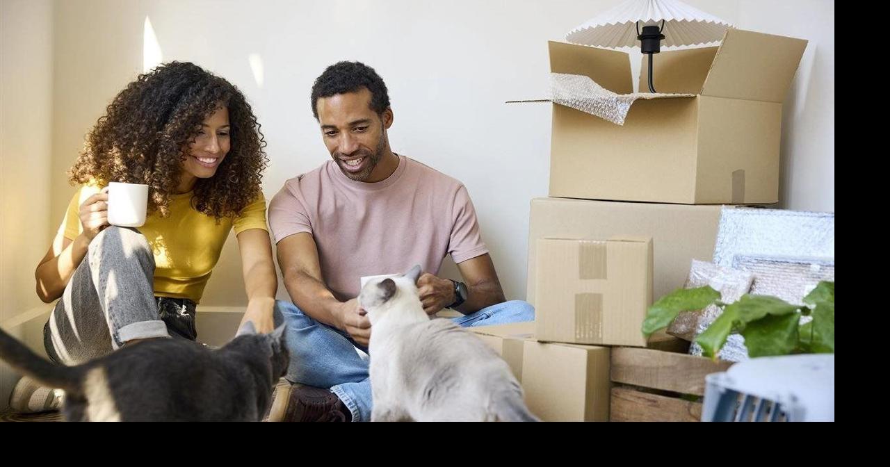 How pet parents can breathe easier with good air quality | Pets ...