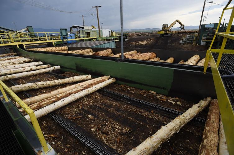 R-Y Timber entertains potential buyers