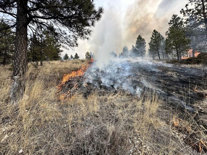 Forest Service plans more burns in Helena area this week