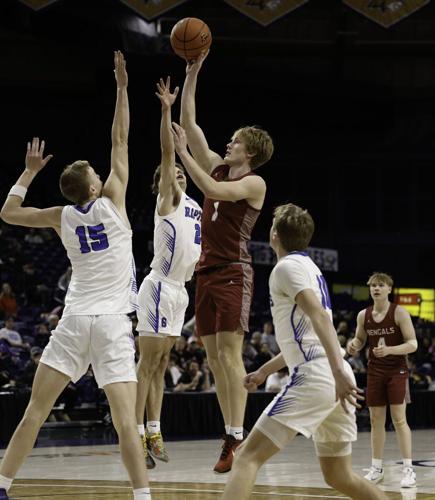 The 2024-25 All-Area boys and girls basketball teams