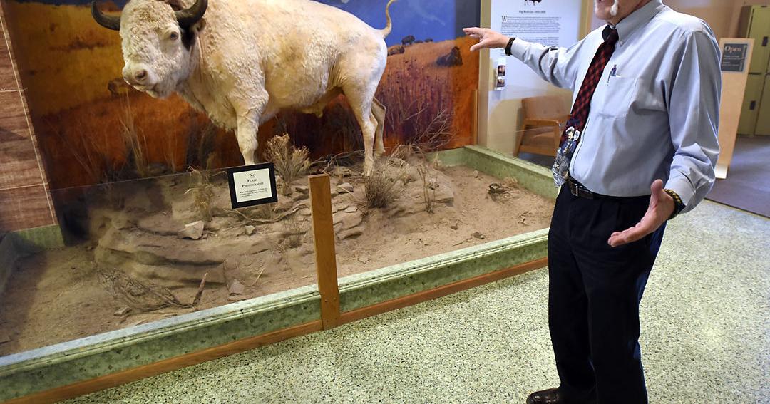 Montana American Indian Caucus: It's time to bring Big Medicine home