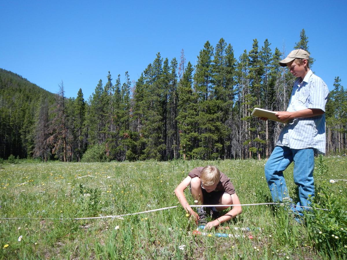Youth Forest Monitoring Program hits 20 years | Natural Resources News ...
