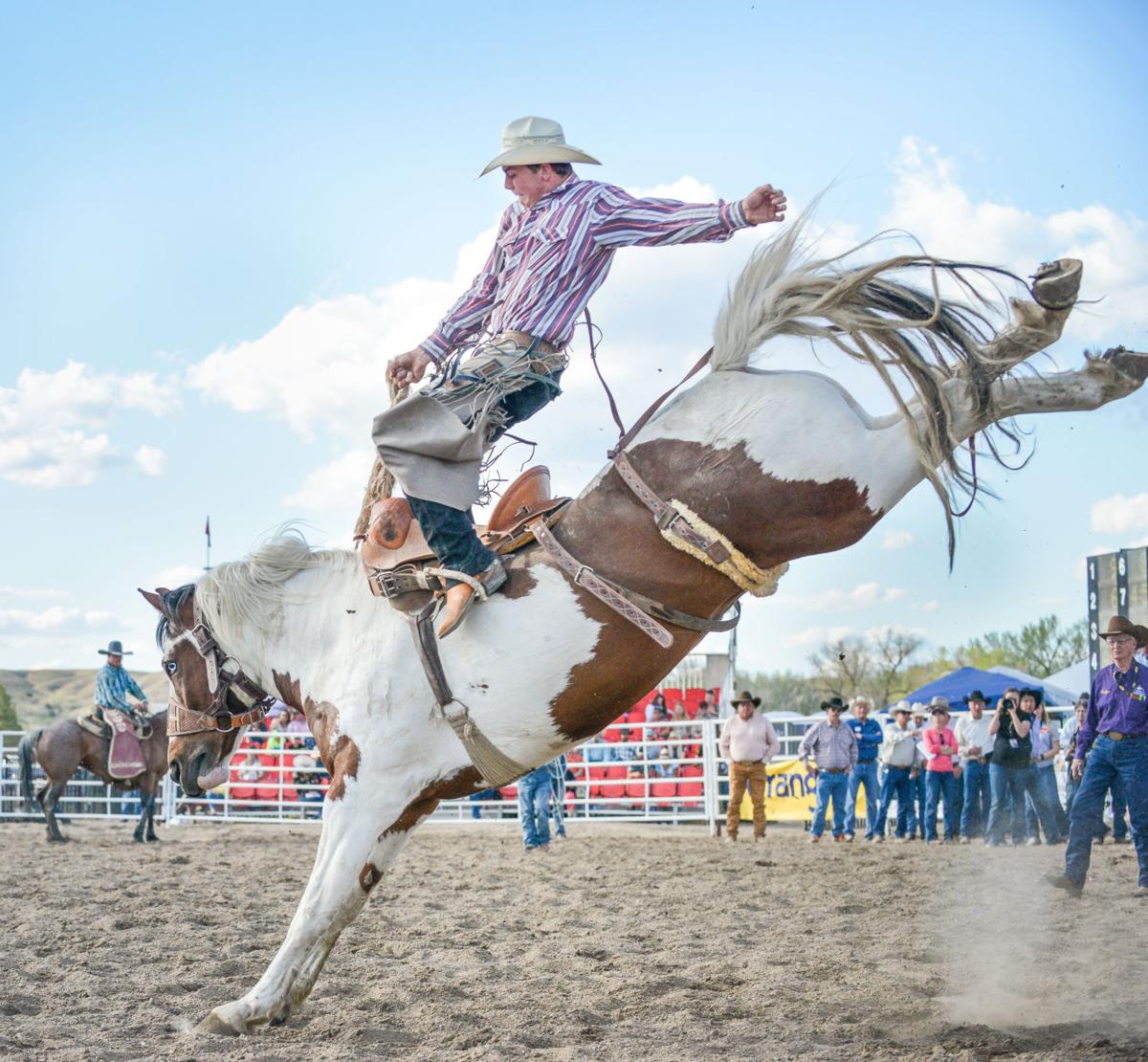 boy on bucking horse coloring pages
