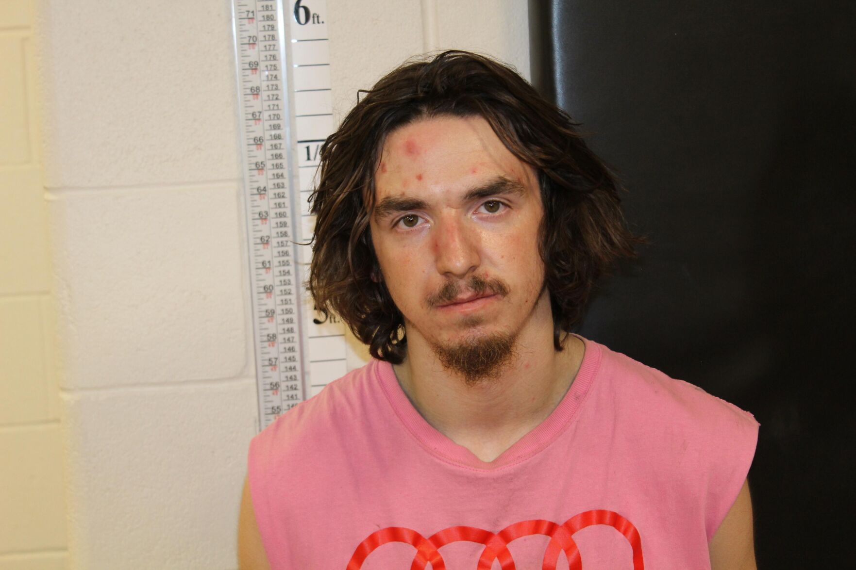 Helena man sentenced on felony charges involving juvenile