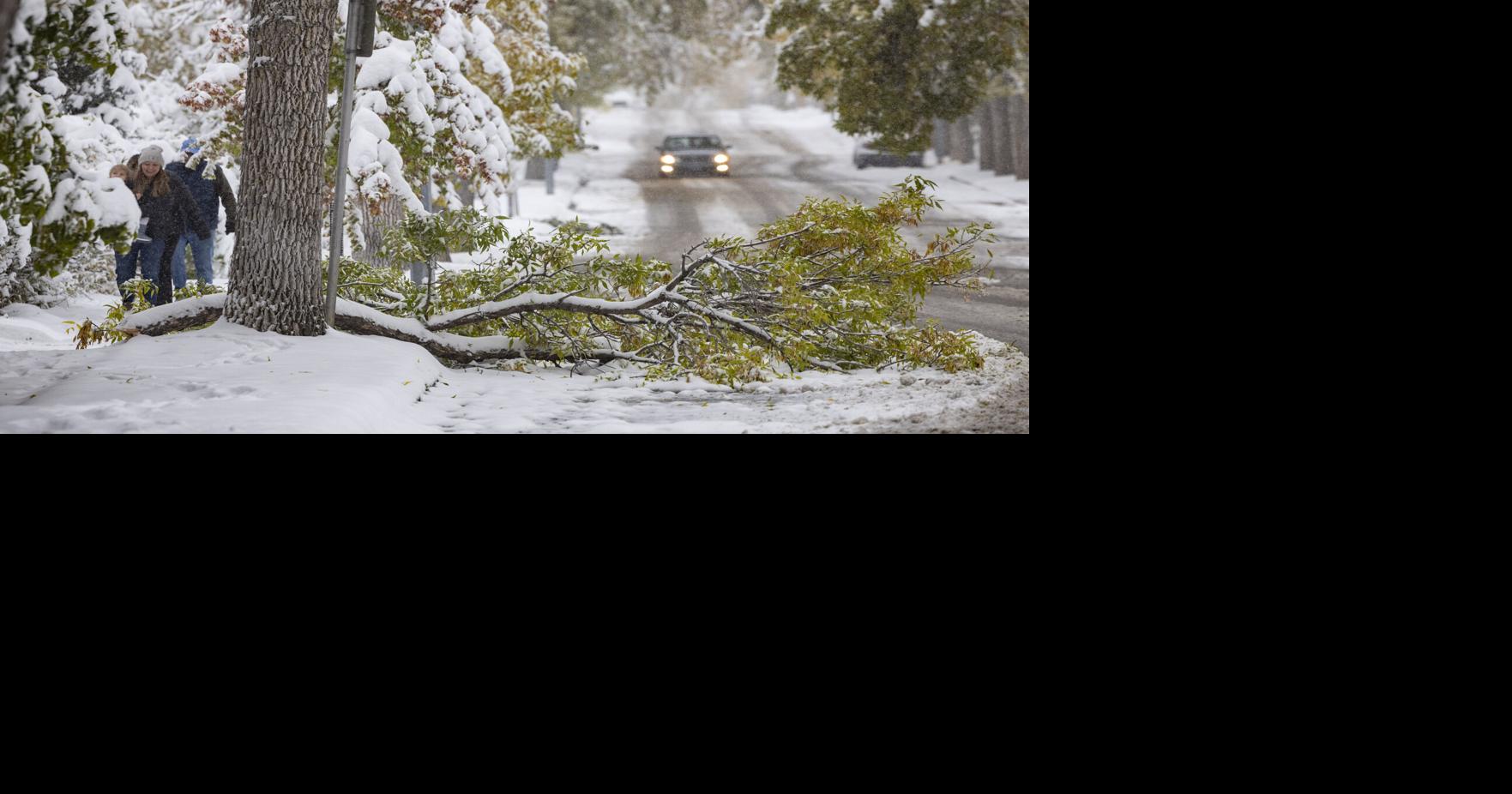 Early-season snow storm damages trees, sets record in Helena