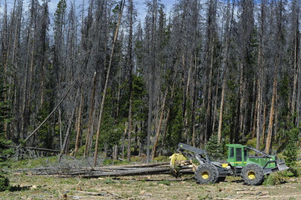 Obstruction or obligation? The case for and against environmental ...