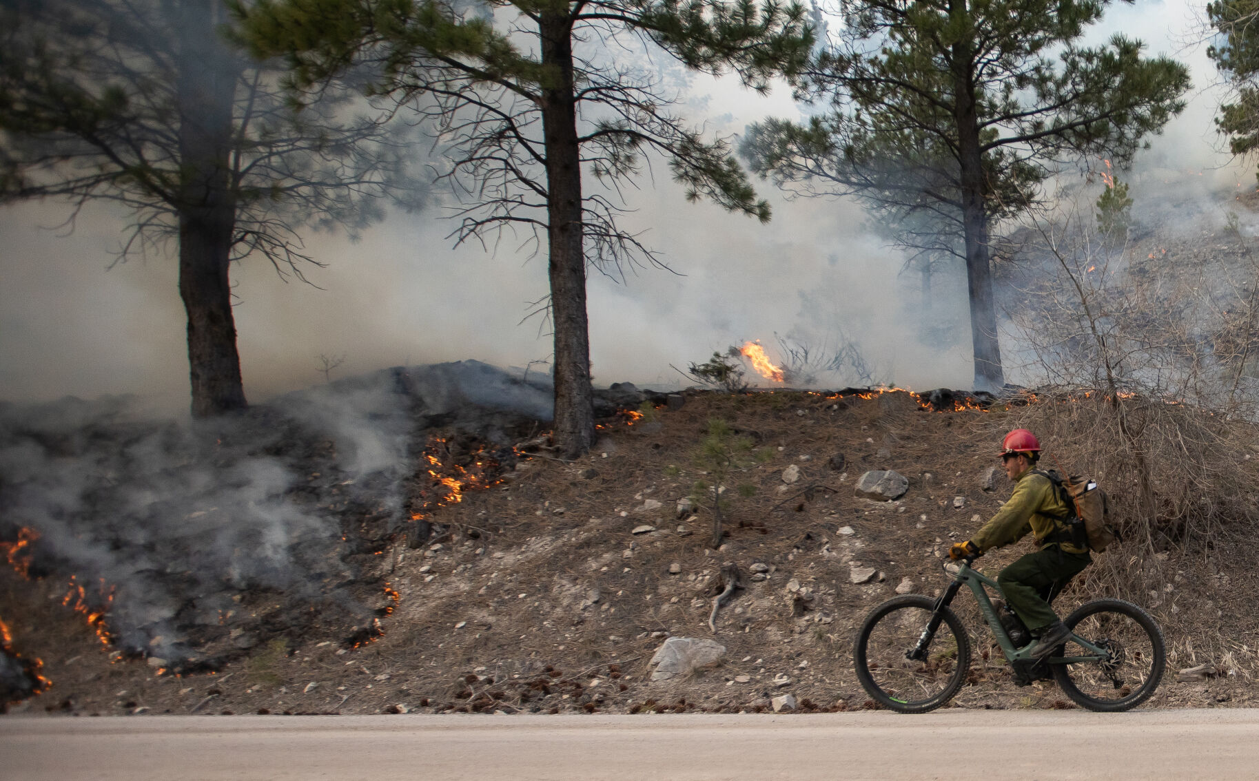 Scenes from the U.S. Forest Service prescribed fireline southwest of Helena