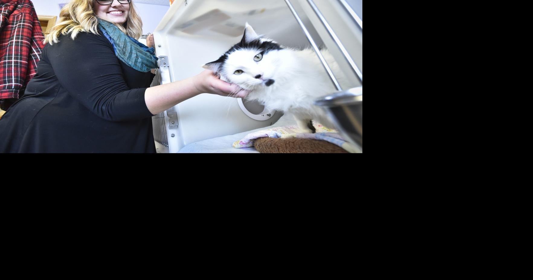 New executive director takes over humane society in Helena