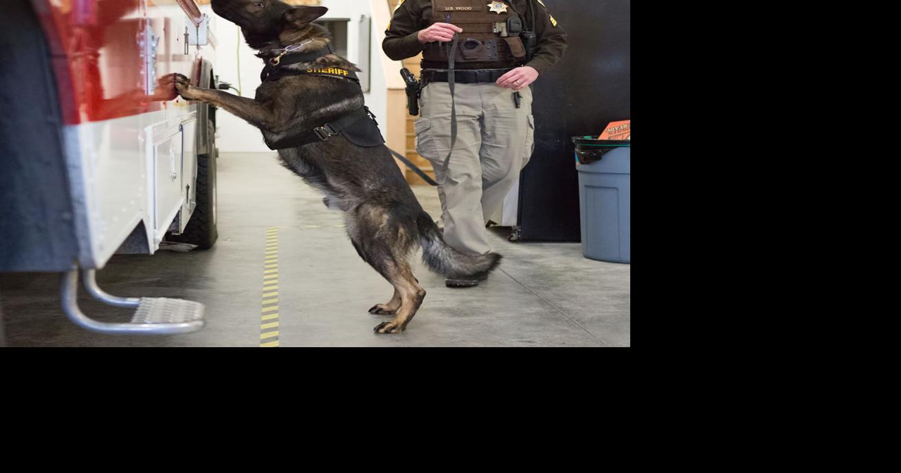 Sergeant retires with his K9 after 22 years