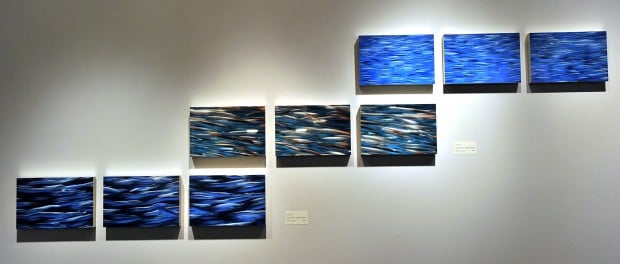 Tom Ferris: An eye for nature