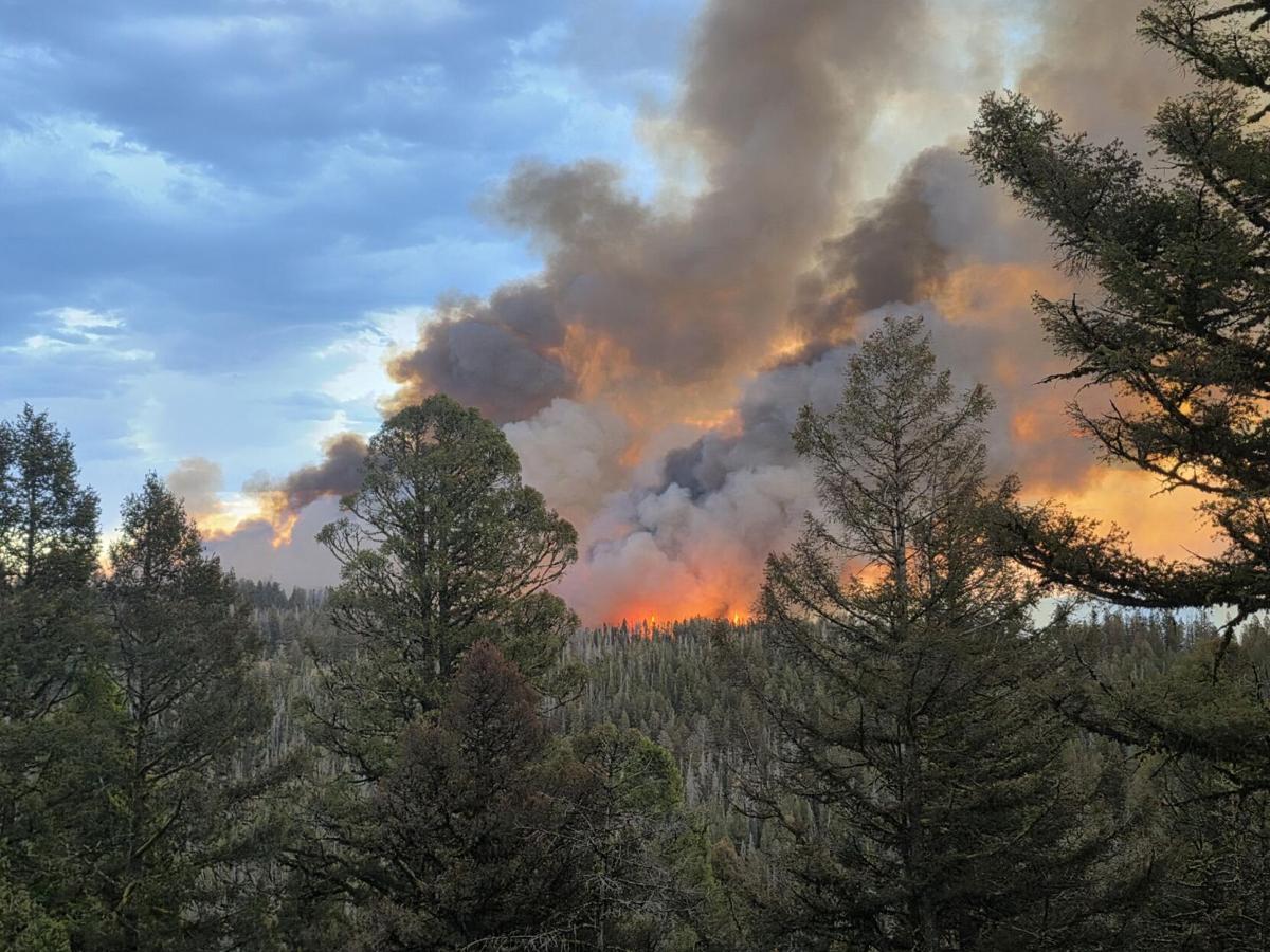 Latest updates on Windy Rock fire in Powell County