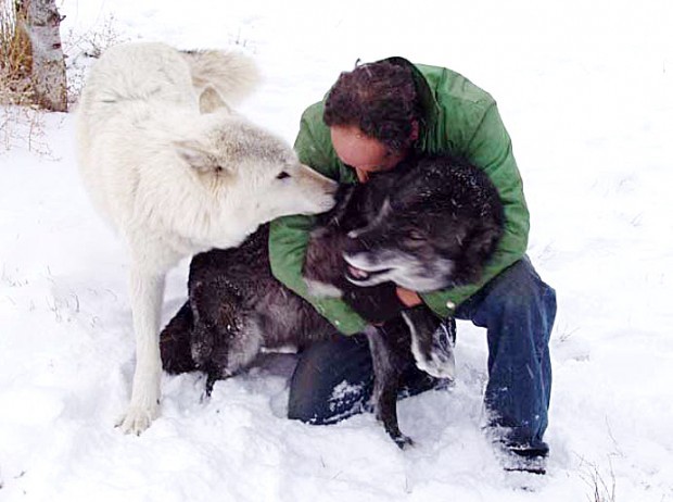 Trouble on Turk Road