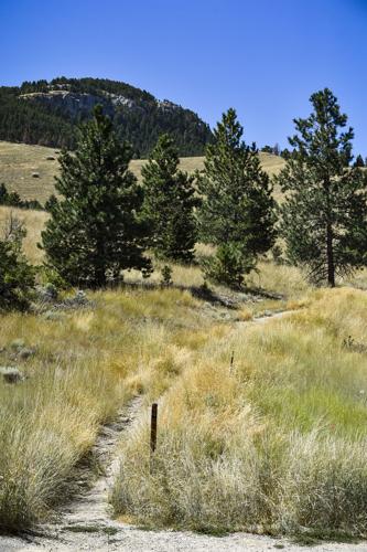 Helena to dedicate rerouted trail in honor of Eric Feaver