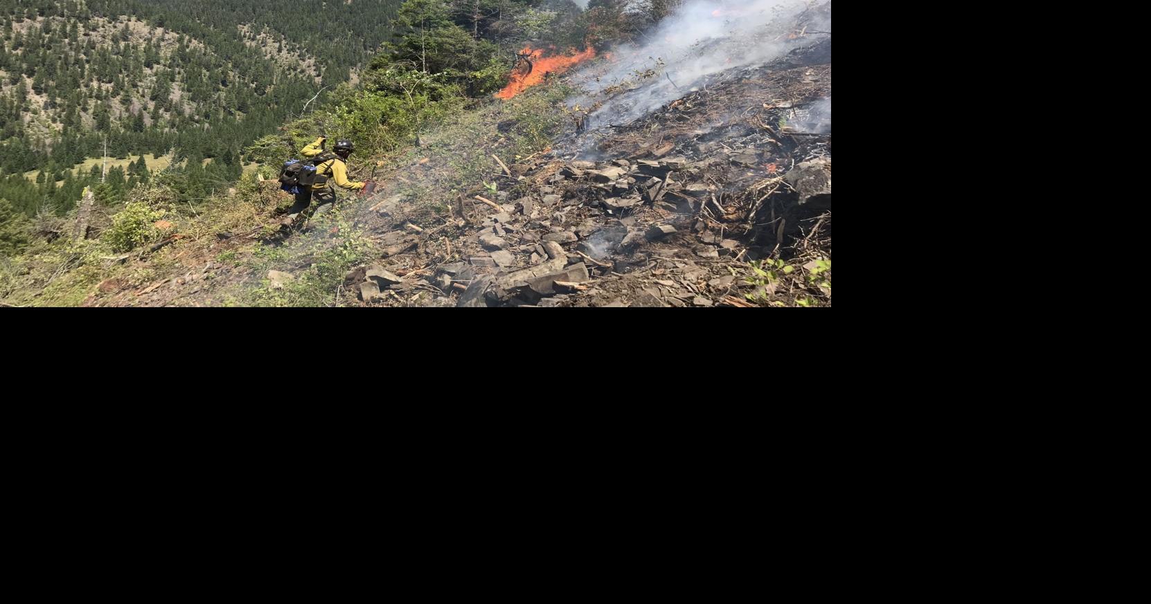 Richard Hutto: The truth about forest fires and safety