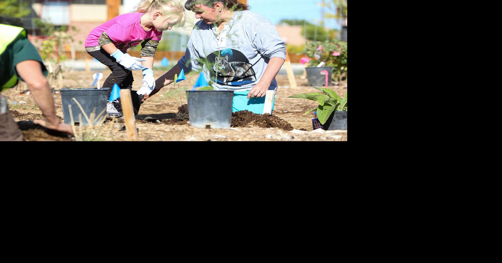 Feature Photos: A garden park planting party