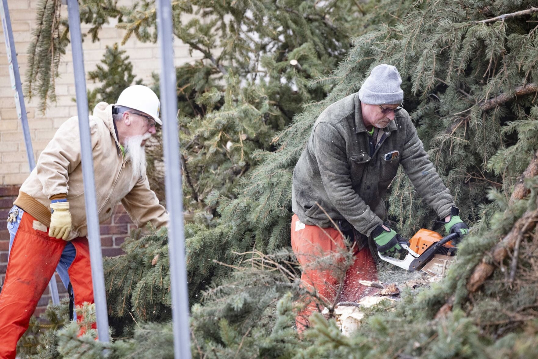 Helena has 27 cords' worth of fallen trees after windstorm