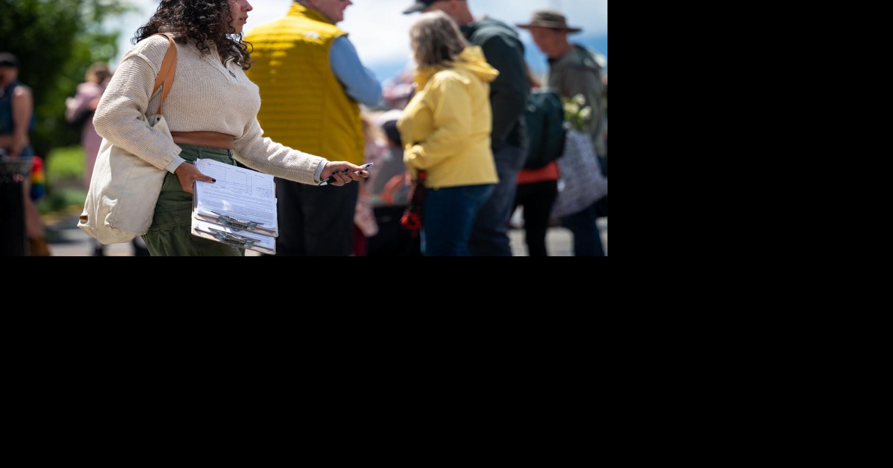 Bills seek to make it more difficult to amend constitution