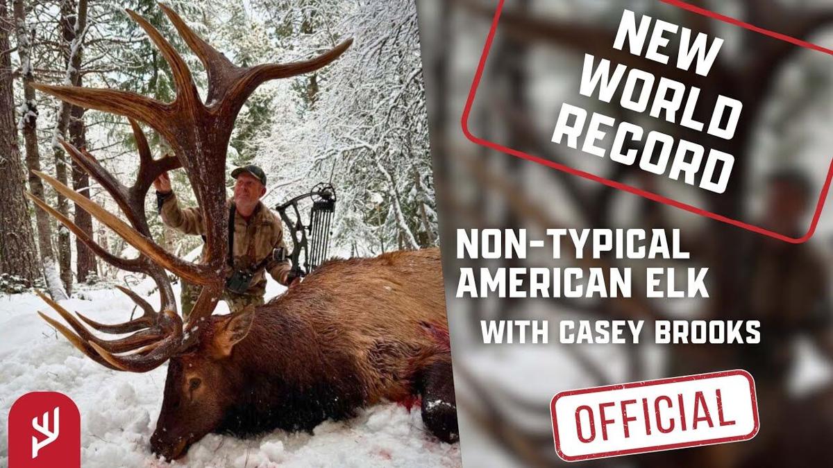 world record non typical