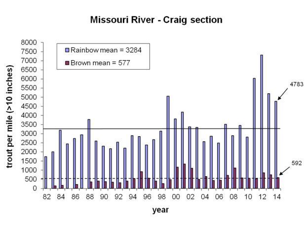State of the Missouri: Above-average brown trout numbers remain near ...