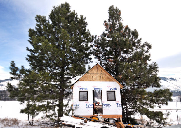 In the trees in Missoula's Rattlesnake Valley