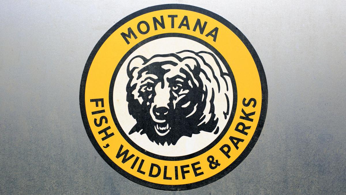 Mountain lion lethally removed from area near Helena