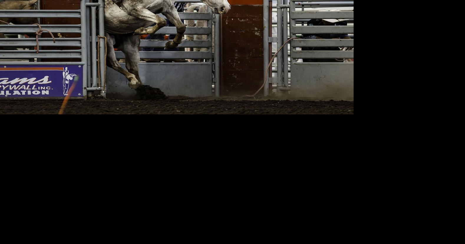 Last Chance Stampede Rodeo