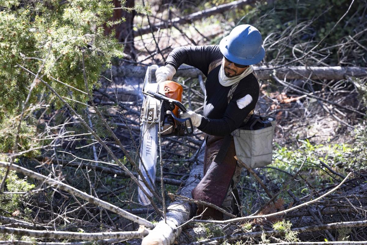 DNRC begins wildfire mitigation project west of Helena