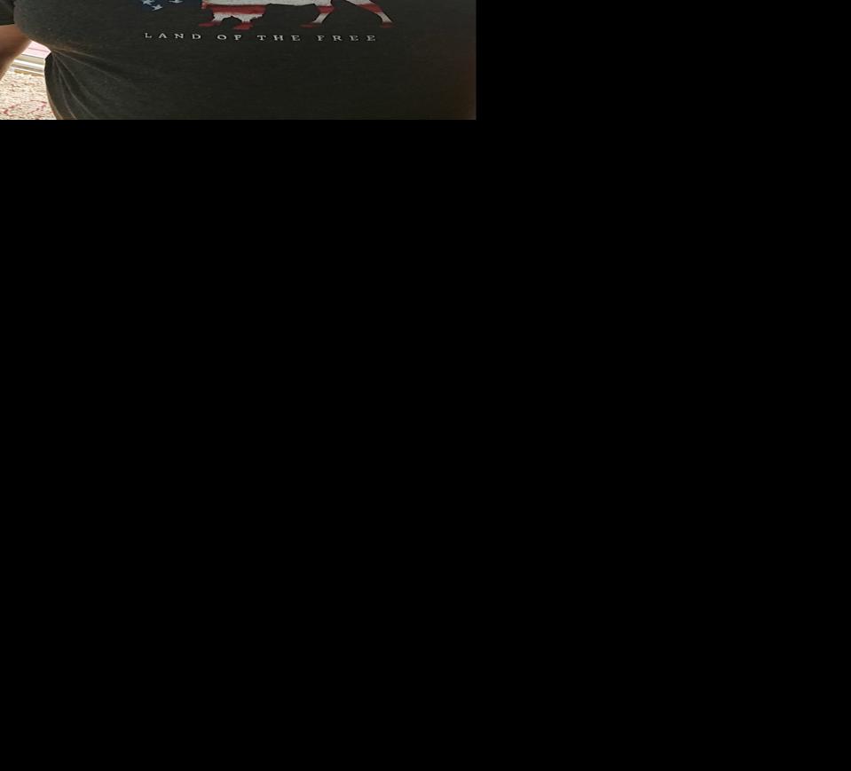 LONG Building Technologies opens Helena office with Nelson, Hopkins at ...