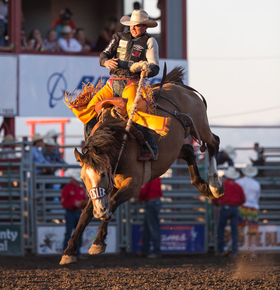Son Ryder bests father, Cody, for Saddle bronc title | Rodeo | helenair.com