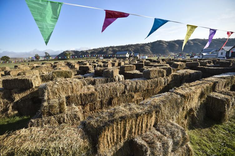 New Helena hay maze offering family fun